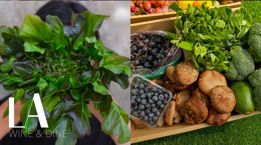 7 Produce Shops that Deliver the Freshest Harvest Right to You