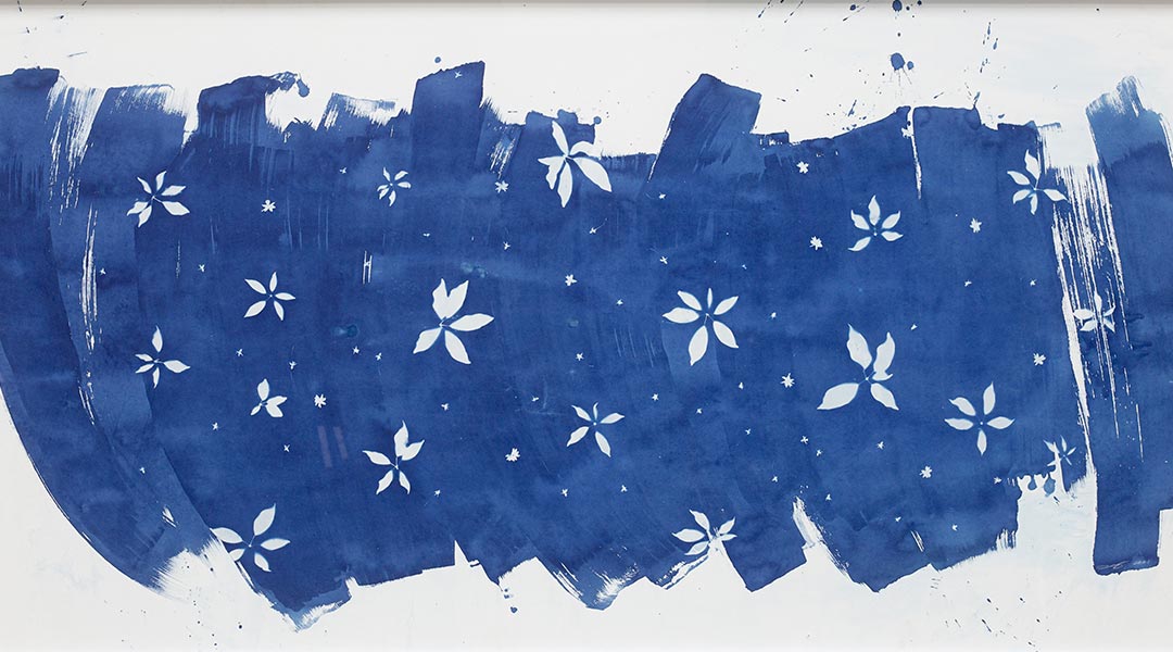 Issay Rodriguez Uses Plants to Preserve Memories