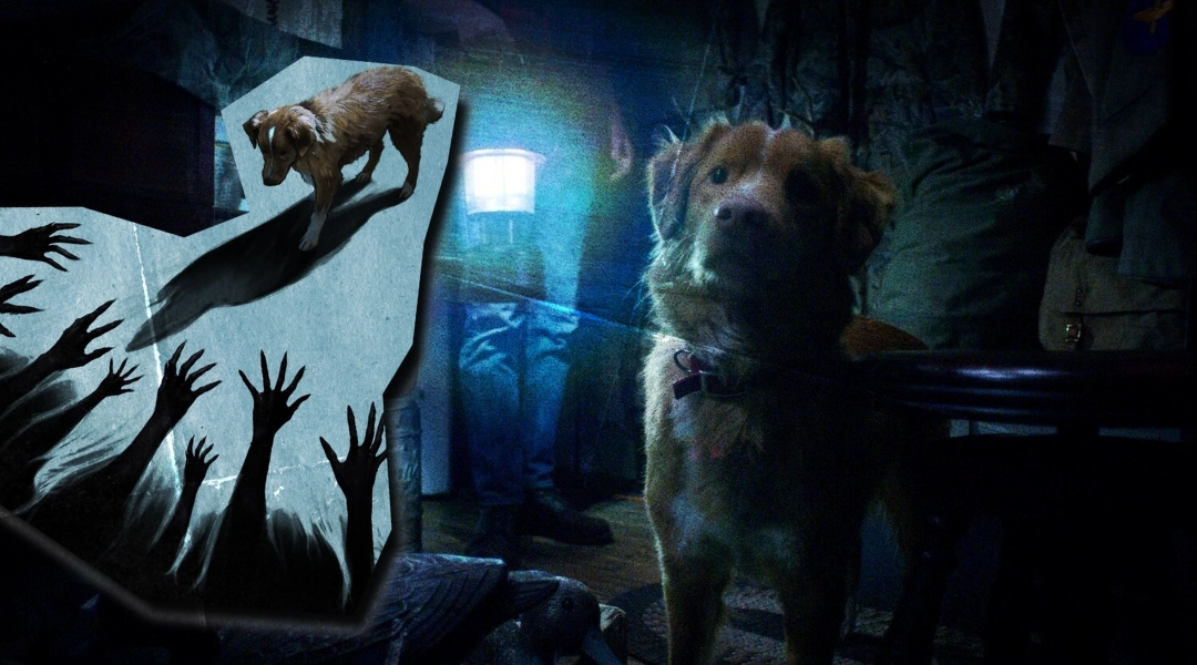 Film Review: “Good Boy” Finds Horror In Helpless Devotion